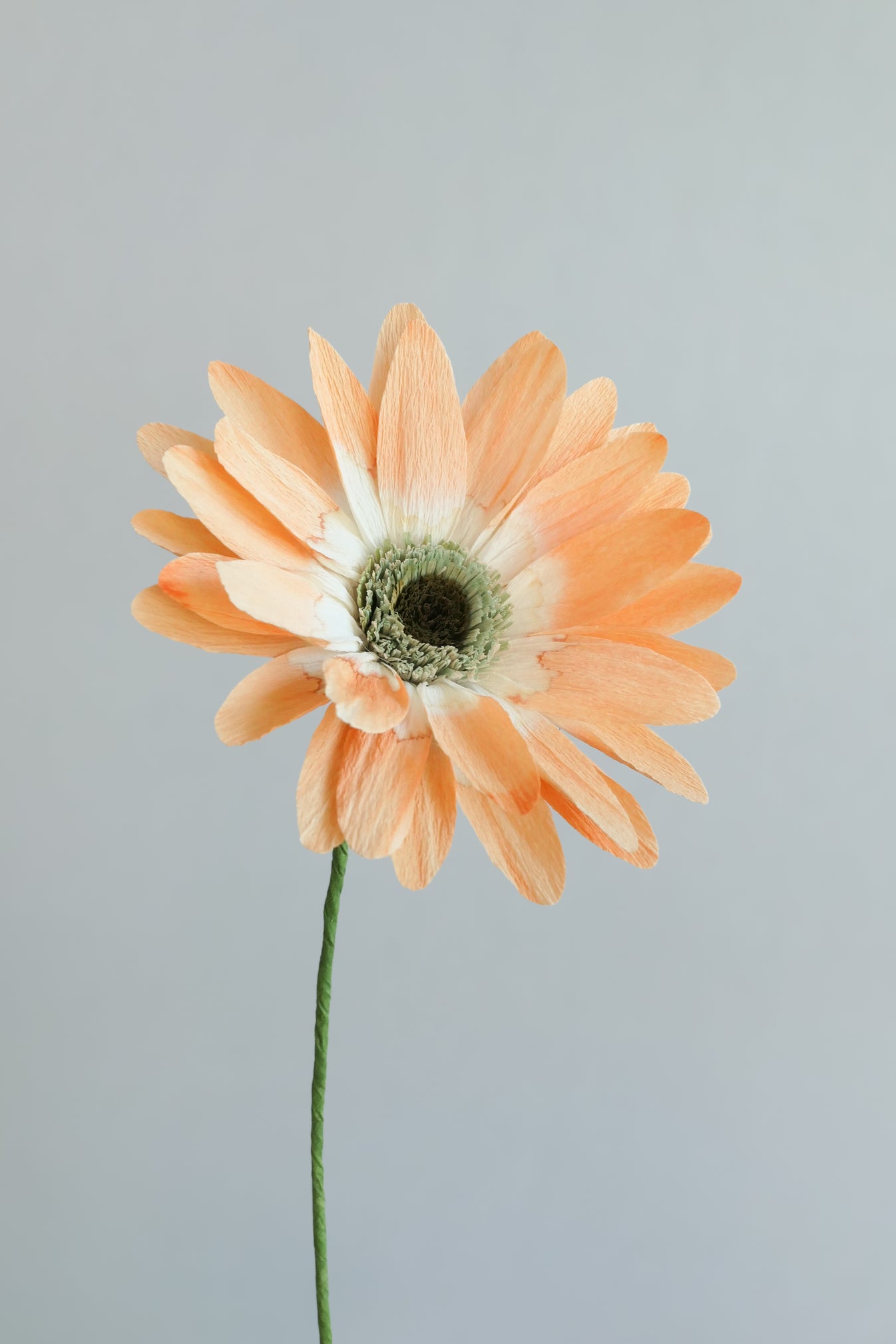 Paper Gerbera Daisy tutorial & templates – Cynthia Meiring Studio