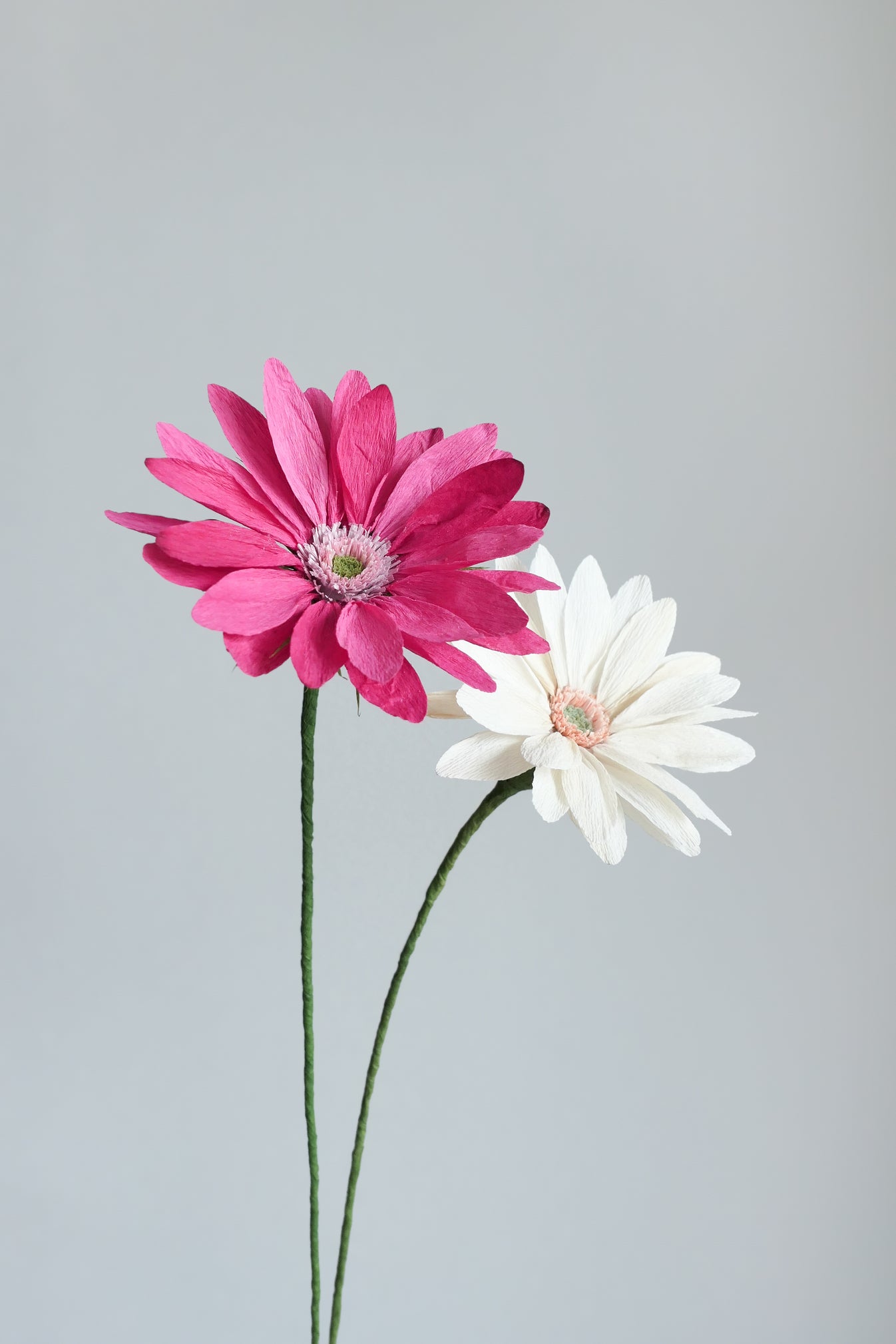 Paper Gerbera Daisy tutorial & templates – Cynthia Meiring Studio