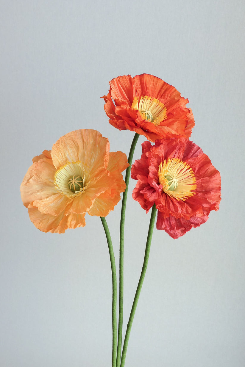 Paper Iceland Poppy tutorial & templates – Cynthia Meiring Studio