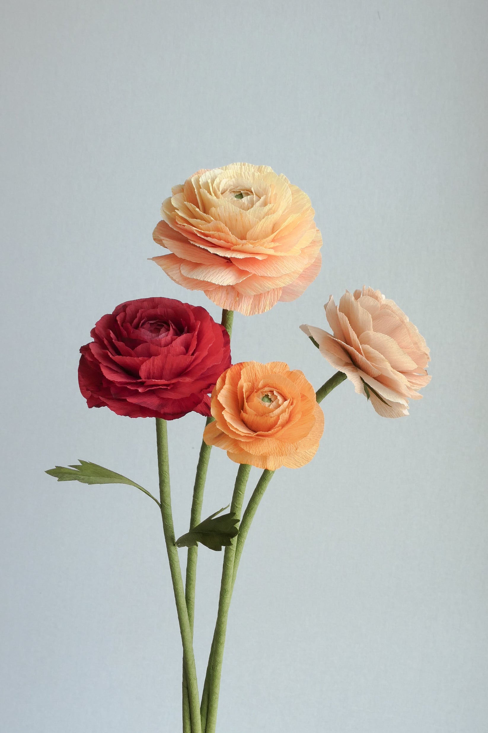 Paper Ranunculus tutorial & templates – Cynthia Meiring Studio