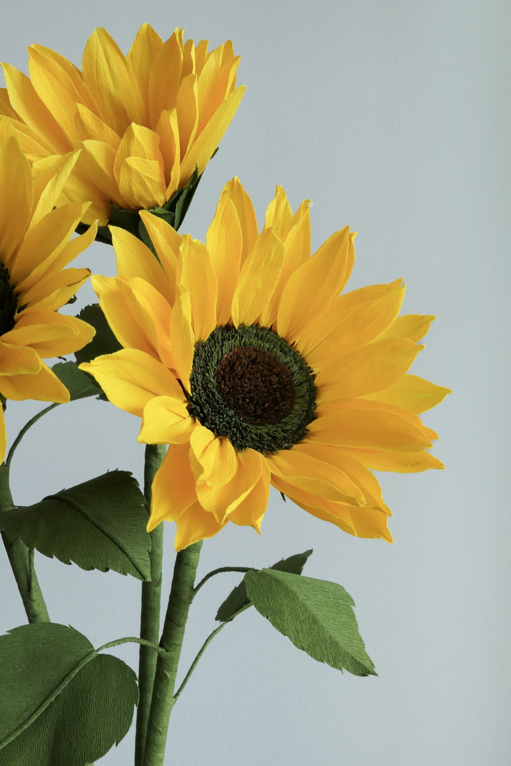 Paper Sunflower tutorial & templates – Cynthia Meiring Studio