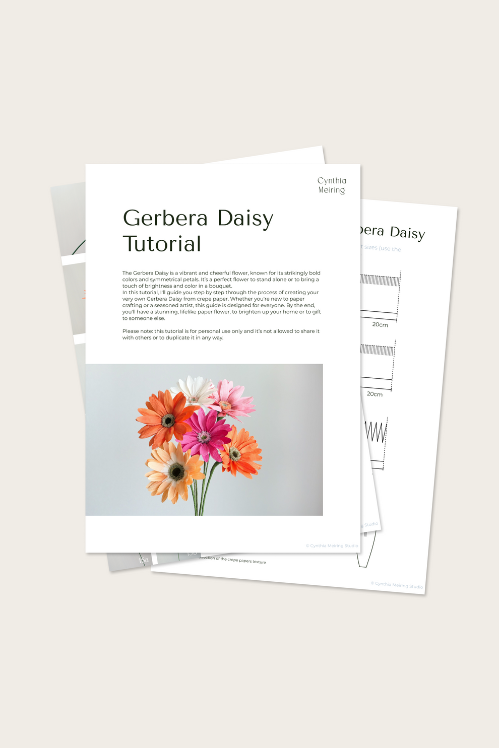 Paper Gerbera Daisy tutorial & templates – Cynthia Meiring Studio